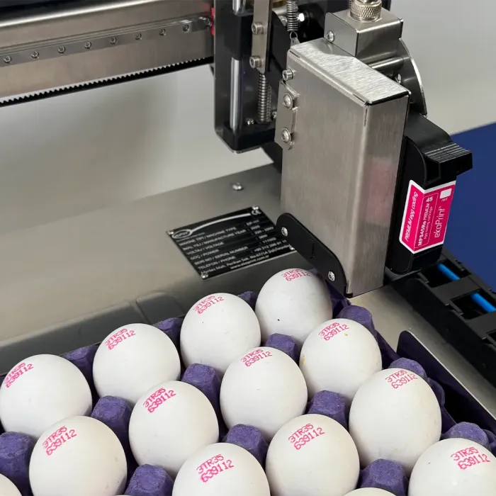 EP-111 Egg Coding Machine - EkoPrint