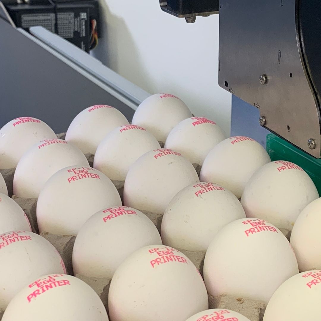 EP-121 Egg Coding Machine - EkoPrint