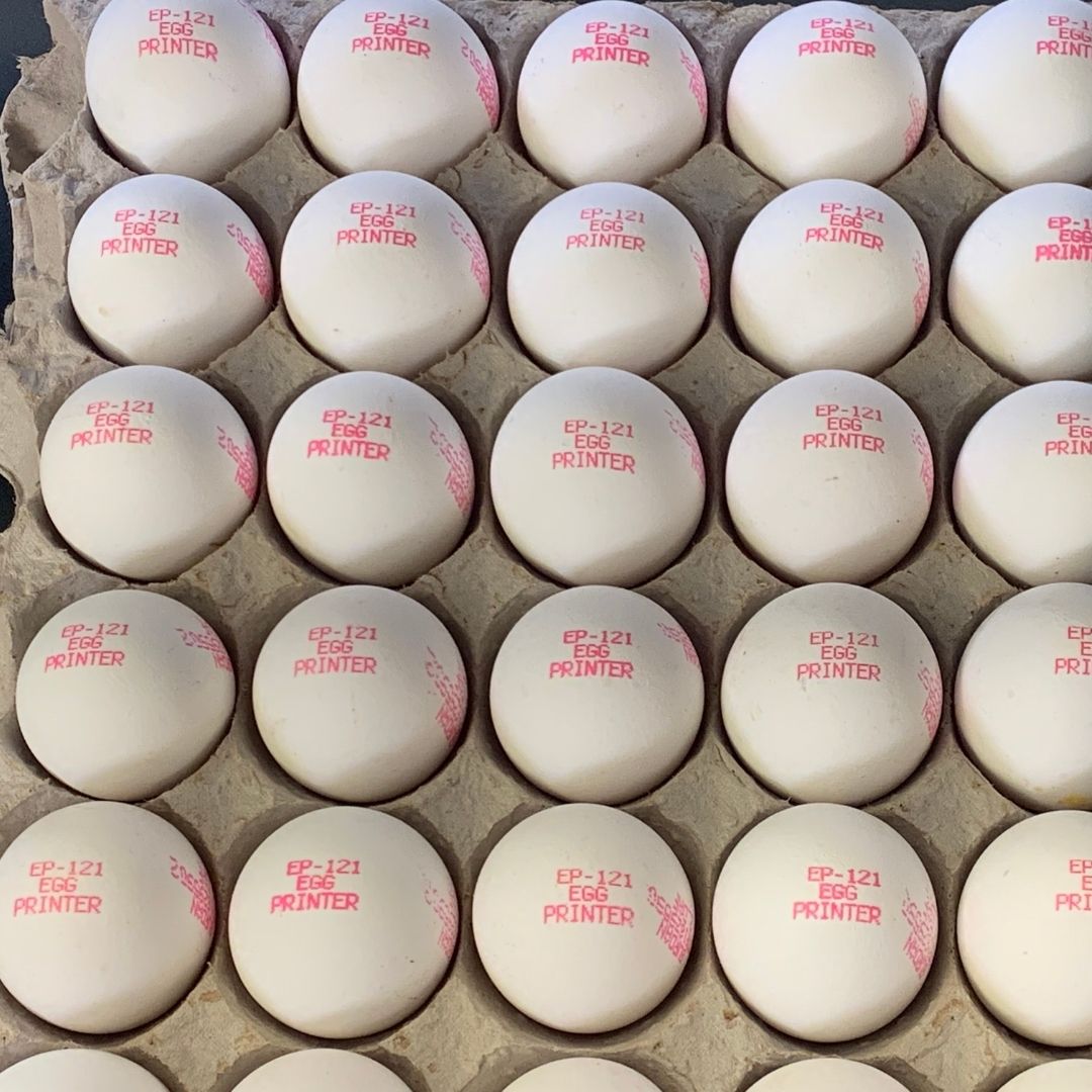 EP-121 Egg Coding Machine - EkoPrint